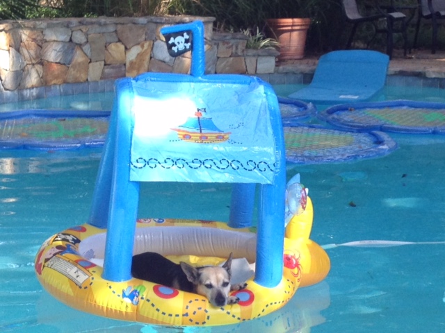 Zoe knows how to beat the summer heat! Summertime bliss!